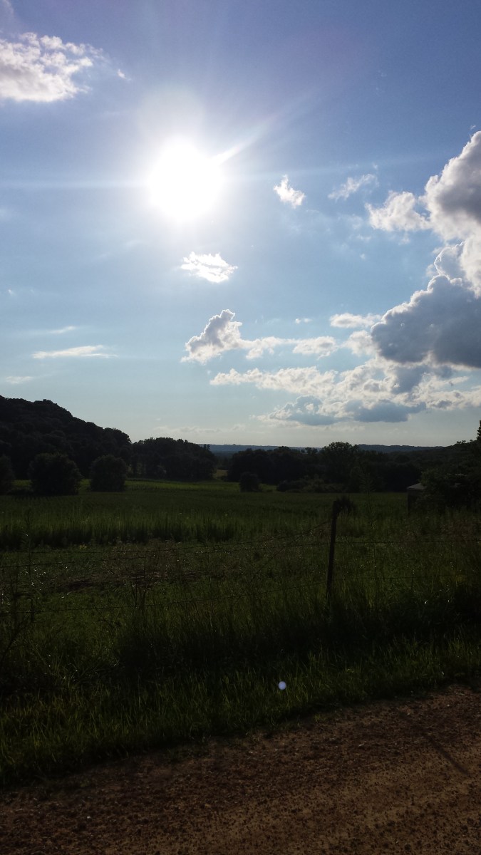 Chuci Chapter 11, “On the Owl” | Justin Penoyer DACM, LAc