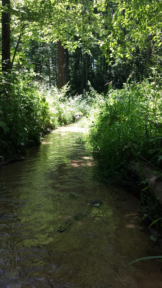 Differentiating Daoshu and Daoyin in the Huainanzi | Justin Penoyer ...