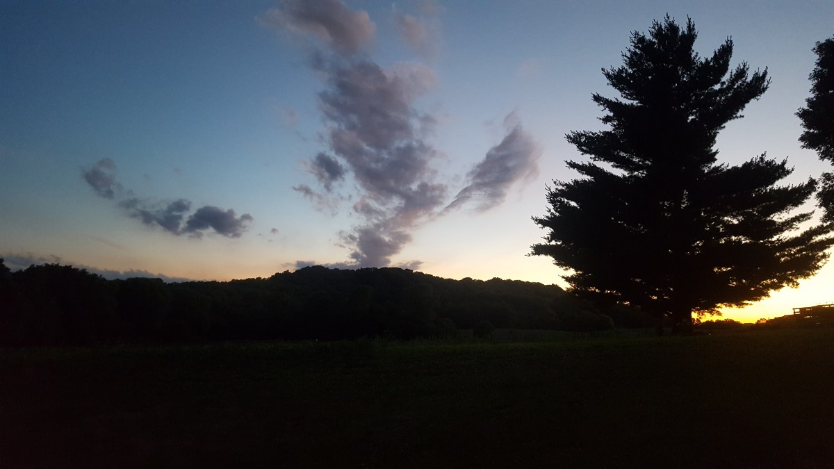 Relative and Total Resonance in the Huainanzi | Justin Penoyer DACM, LAc