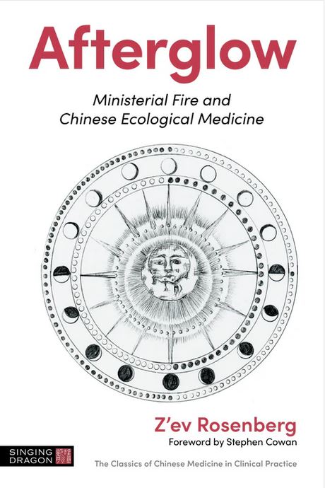 Review of Afterglow: Ministerial Fire and Chinese Ecological Medicine ...